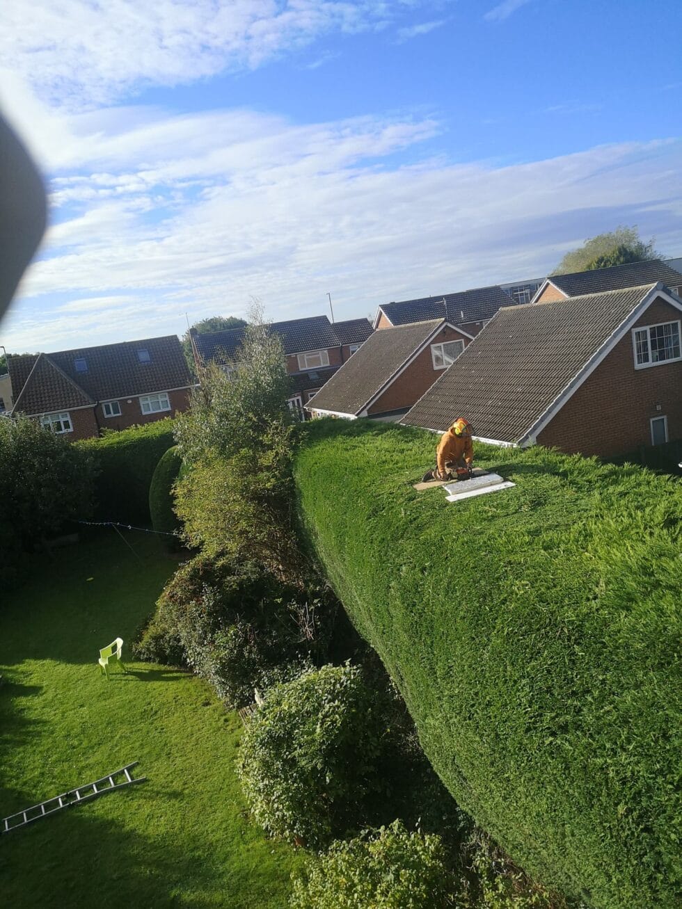 Arbor Works Tree Services | Tree Surgeon Middlesbrough