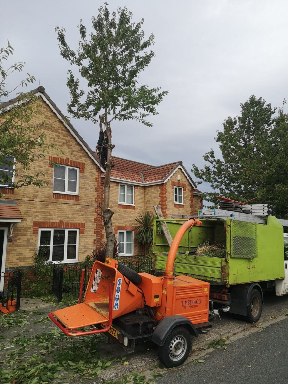 Arbor Works Tree Services | Tree Surgeon Middlesbrough